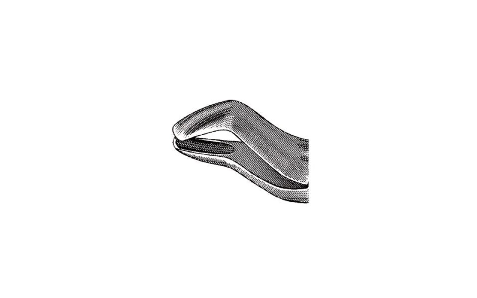 Top 10 Dental Forceps - Dental Country™