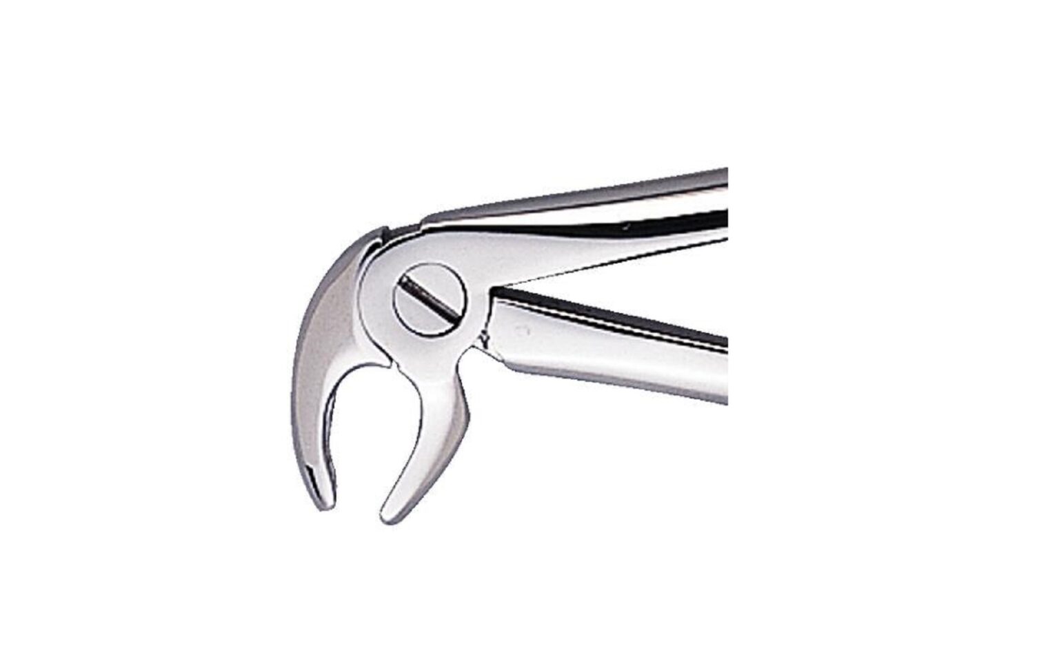 Top 10 Dental Forceps - Dental Country™