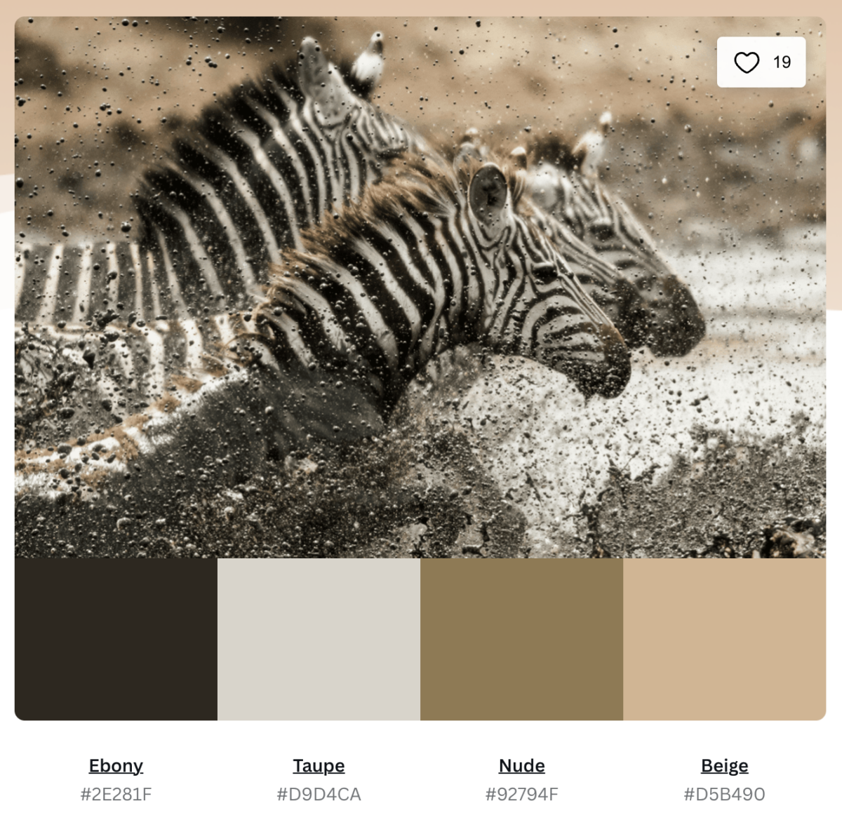 Top 5 Color Schemes to Refresh Your Dental Practice - Dental Country™